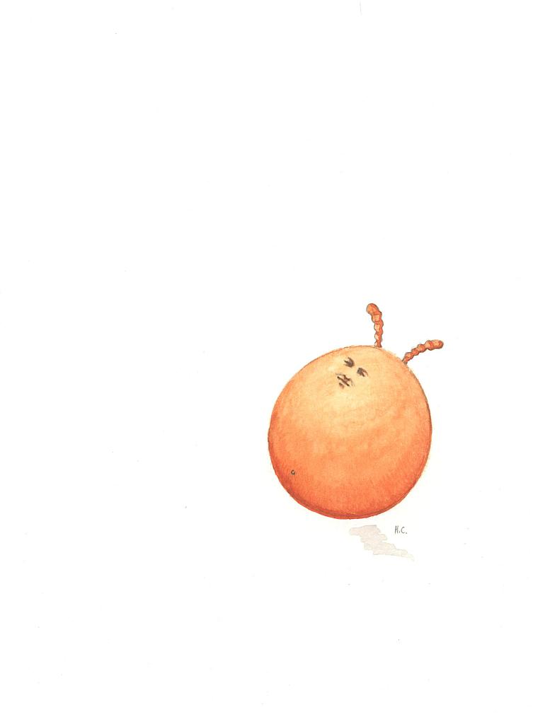 illustration